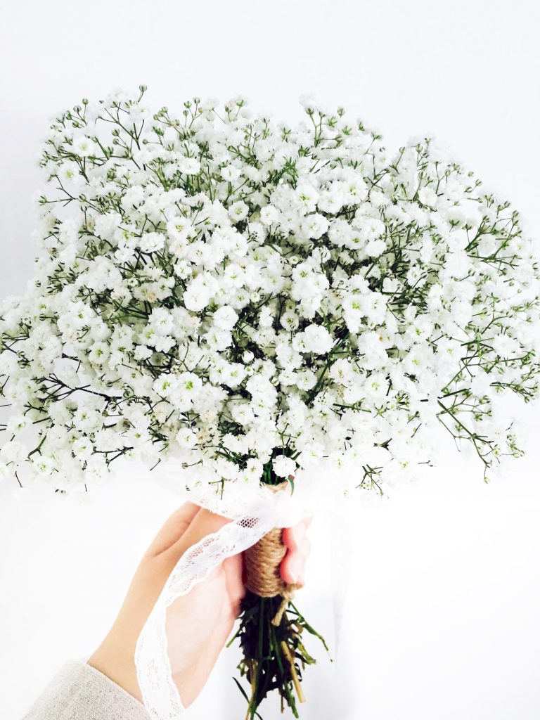 Gypsophila - Farm Fresh Flower
